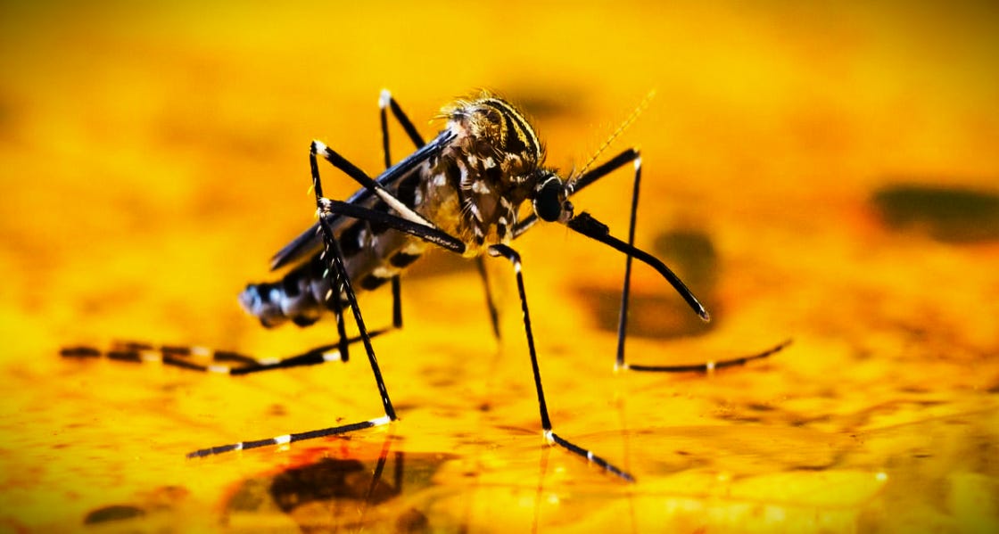 End Times Scorecard - by Karen Gordo - Karen’s Substack