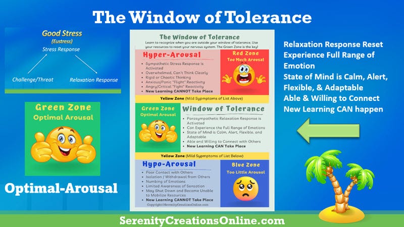 Part 13: Window of Tolerance & the Autonomic Ladder