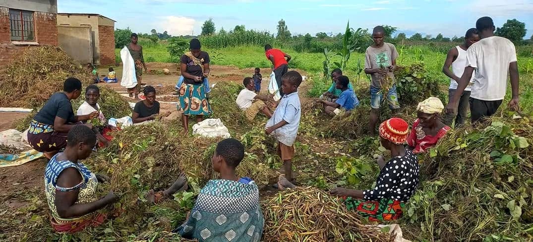 Empowering Rural Malawi: How Clara Kamlomo's Amazing B Project is ...