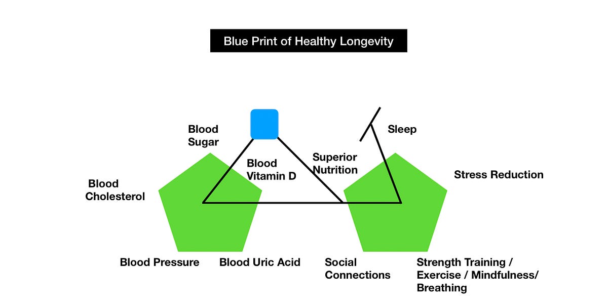 Doctor’s Heart Series Chapter 9: Blueprint of Optimal Health and ...