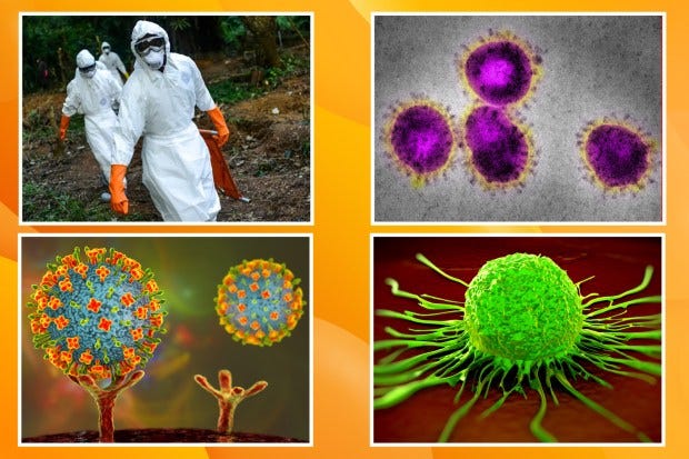 Bright Pandemic Prospects: Five Upcoming Viruses to Choose from
