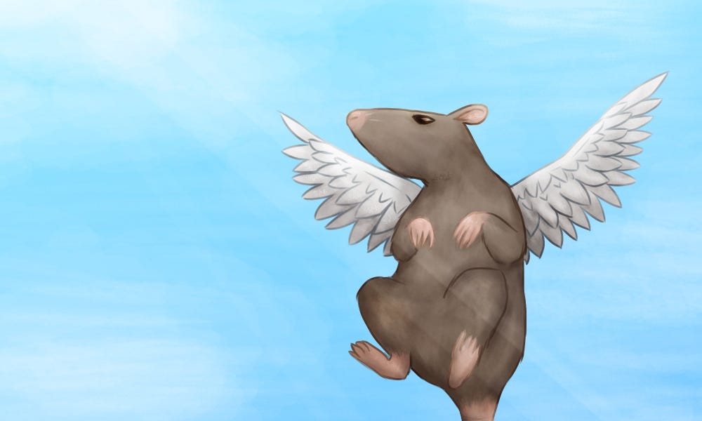 All Rats Go to Heaven - by David Cole - Best Served Cole