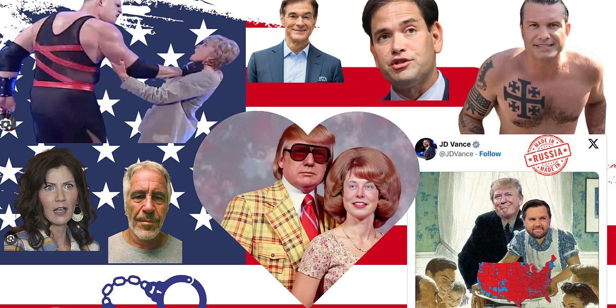 An American Survival Guide - by Denise Conroy