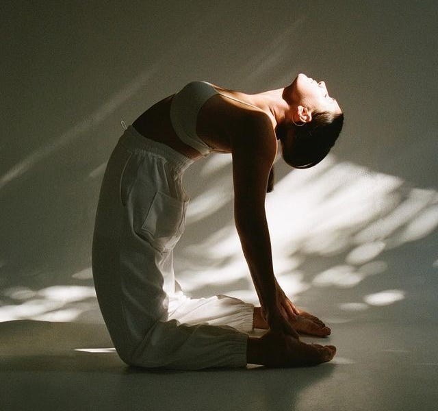 The Power of Stretching:A Guide to Daily Flexibility Exercises