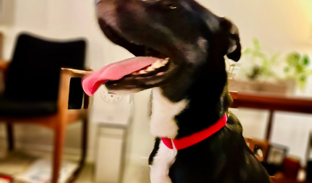 Anti-Vaxxers Pile On Matthew Perry’s Death as ‘Evidence,’ Study Finds ...