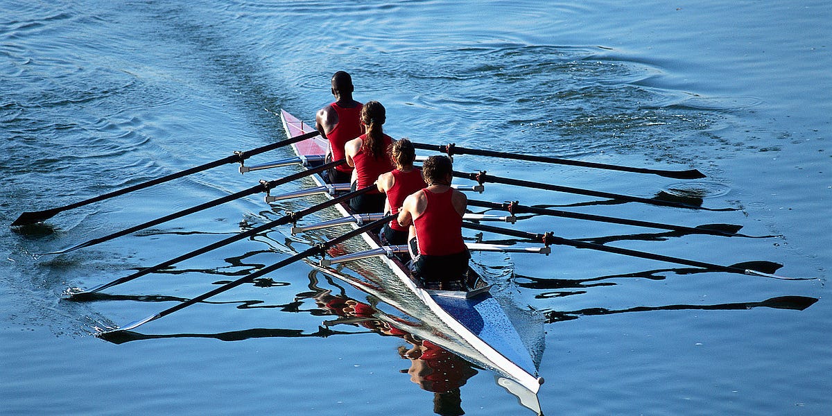 Is Everyone Rowing in the Same Direction? - Kingswell