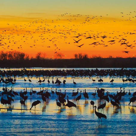 News From Rulo - Free Radio Rulo