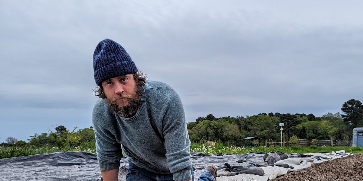 Killing More Honeybees - by Stewart K Lundy