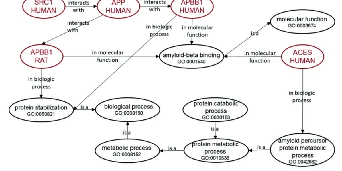 BioCypher & BioChatter: Knowled Graph Builder and LLM