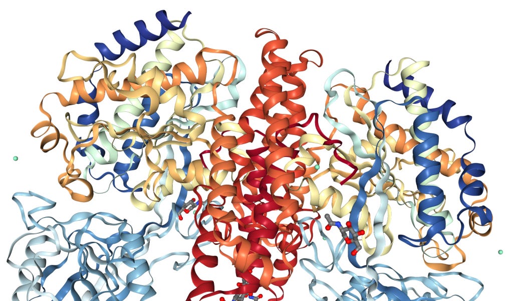 A primer on scRNA-seq foundation models - by Abhishaike A primer on scRNA-seq foundation models - by Abhishaike