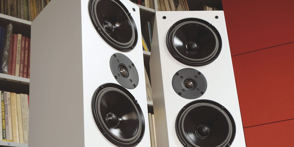 Living Voice Auditorium R25A Loudspeaker