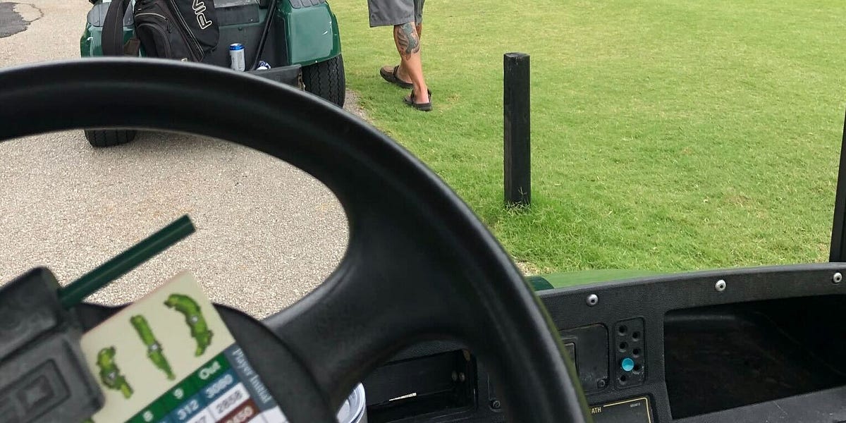 "Embrace Your Pimpness" - by David C Ruff - Washed