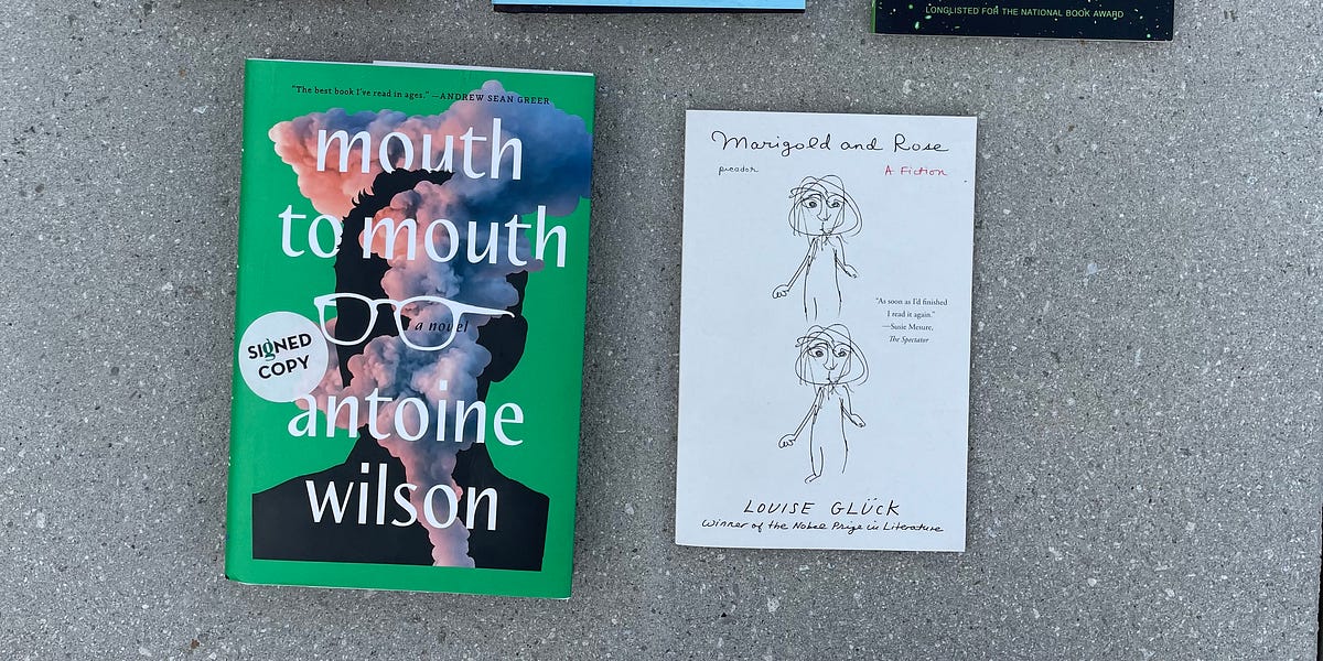 What I read in October - by Ali Jaffe Ramis - on my shelf