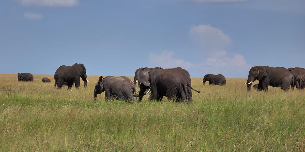 Tanzania Journal, part 2 - by Daniel Jepsen