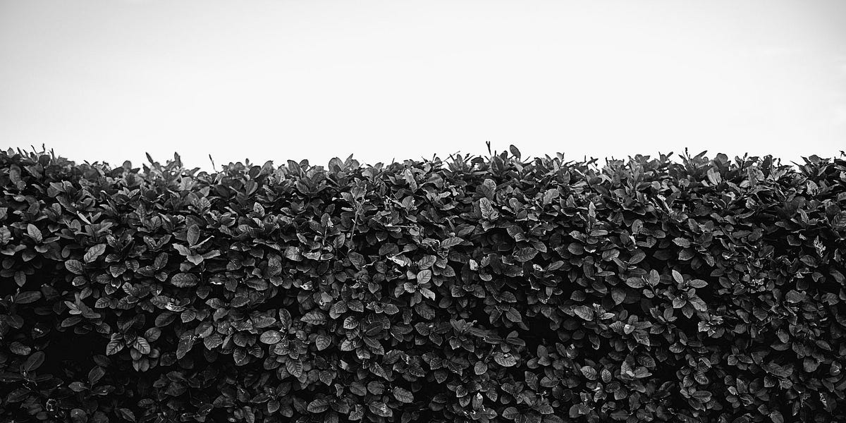 Some Words About Catapult Magazine - by Tajja Isen