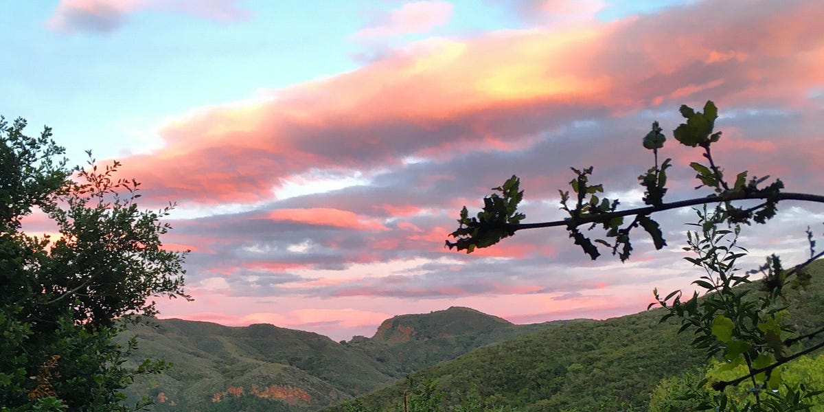 What's the good in a view? - #107 - by Kelton Wright