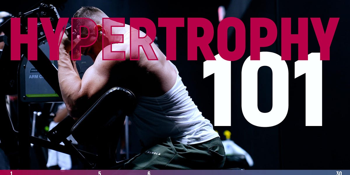 Hypertrophy 101 - by Michael - The Gaintrust Newsletter