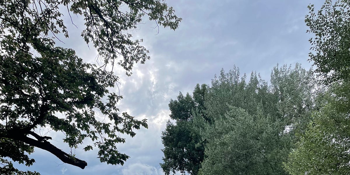 Let's play catch (up) - by LaVonne Ellis - Walk with Me