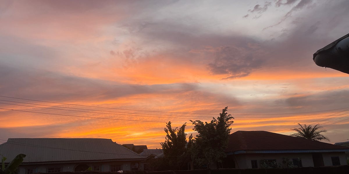 💤 Headed for the bush? - ZigZag Zee