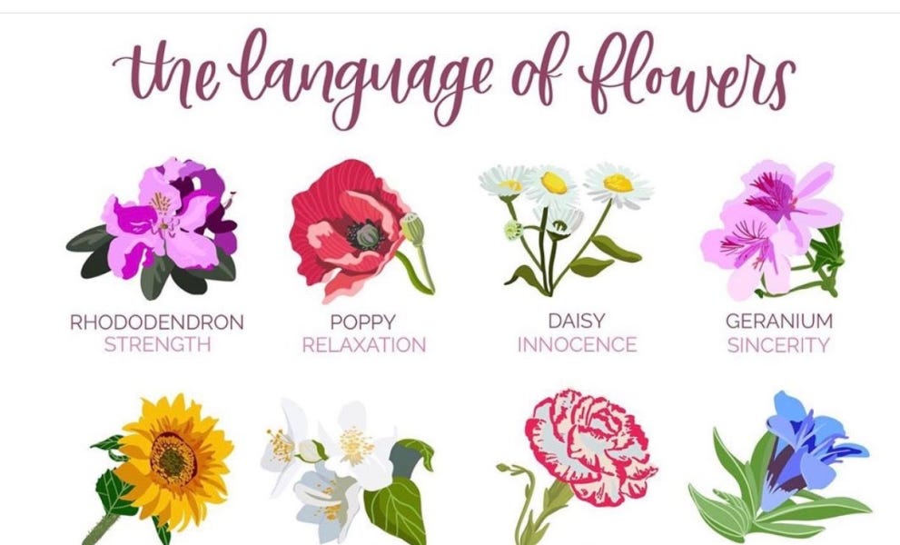 The language of flowers - by Yvonne Aburrow - The Moon Path