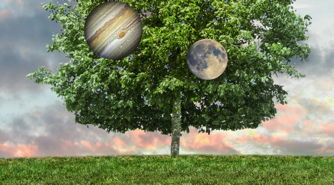 Understanding Final Dispositors in Astrology