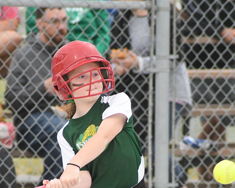 8U Softball Tournament: Breisch vs. The Love Bug