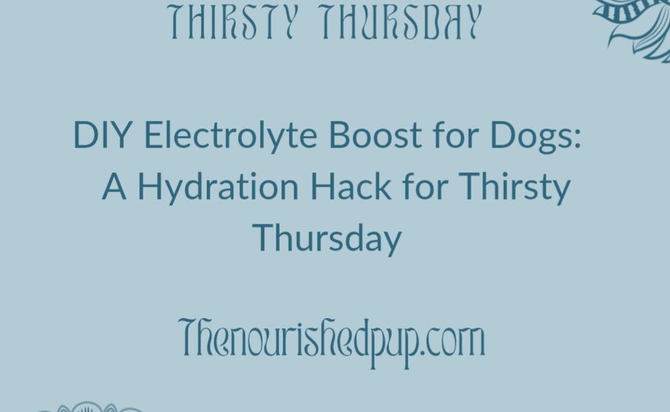 DIY Electrolyte Boost for Dogs: A Hydration Hack for Thirsty Thursday
