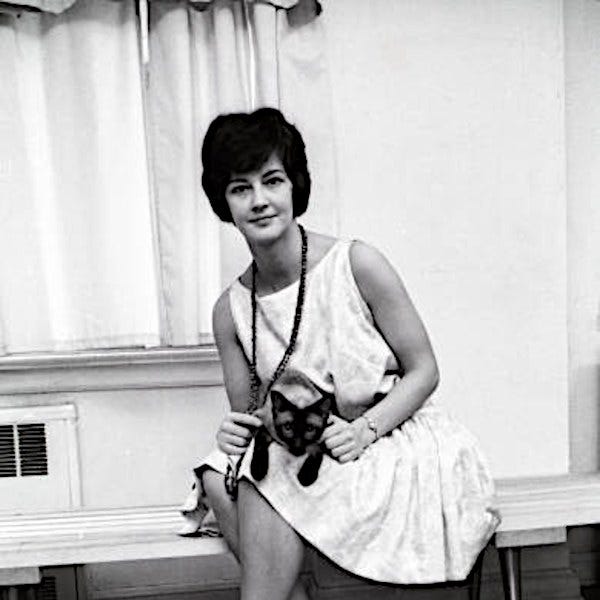 Lisa Lane Photograph of the Day, Post #195/2024