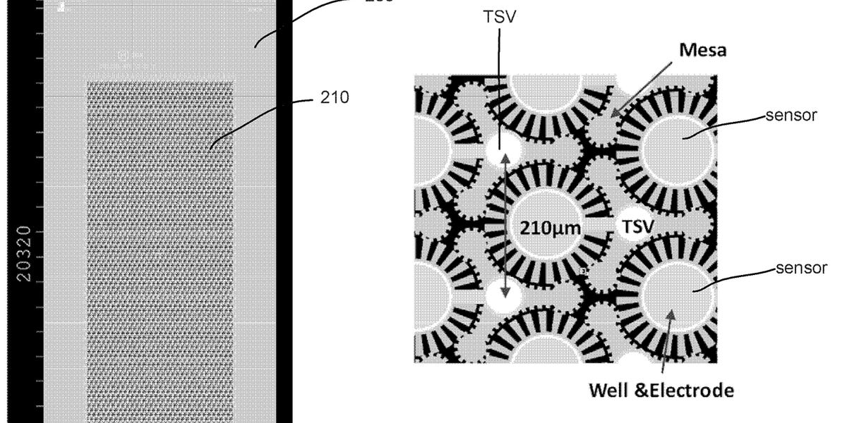 The MGI Nanopore Sequencer - by Nava Whiteford