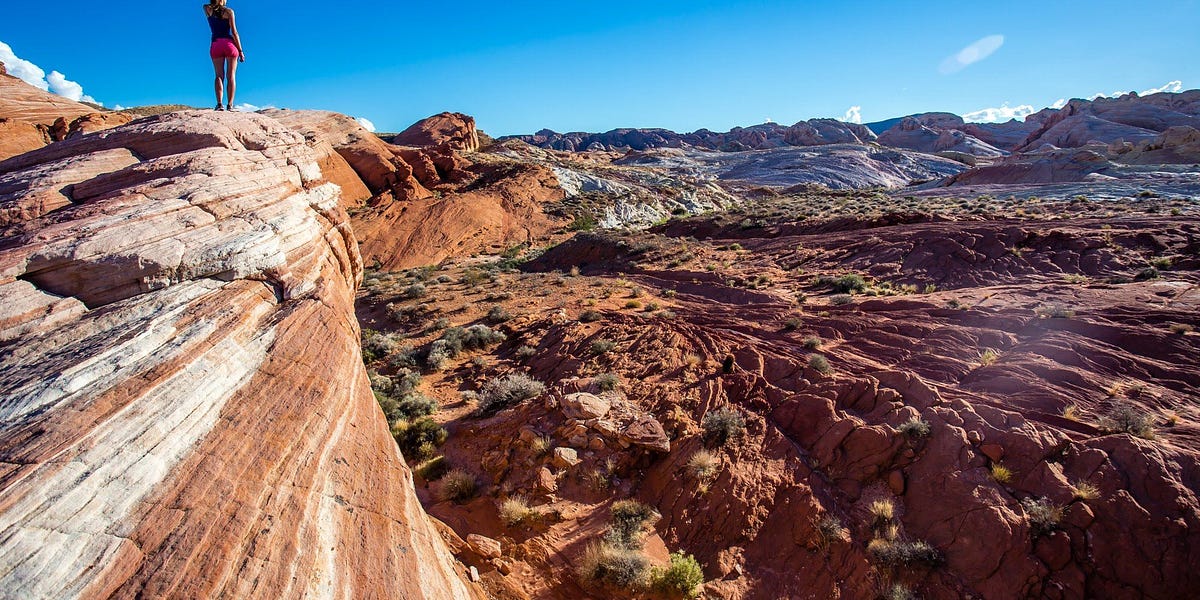 The Amazon Working Backward Process for Engineering