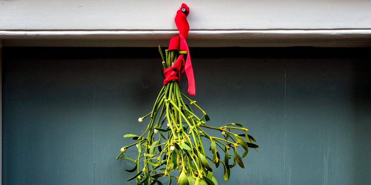 Mistletoe: A Christmas Haiku Poem - Anthea van den Bergh
