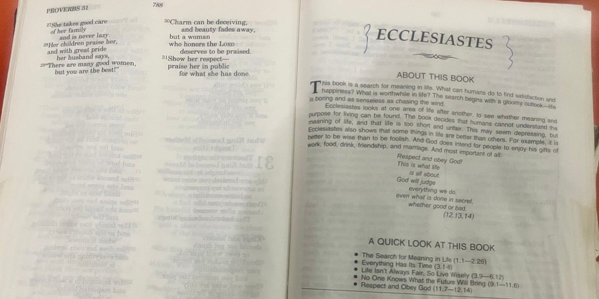 The Meaning of Life According to the Book of Ecclesiastes