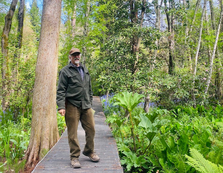 Hidden Forest Nursery and Botanical Reserve faces an uncertain future