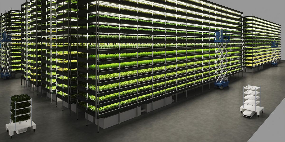 Vertical Farming - Eleatiche