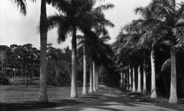 Annexation of 1925 - by Casey Piket - Miami History