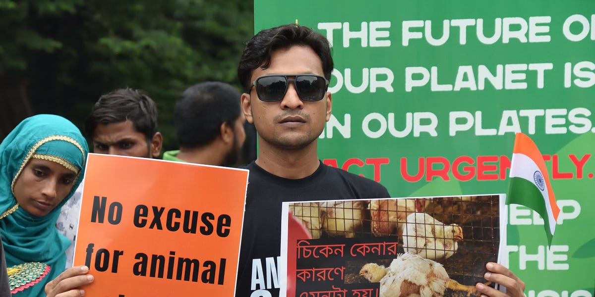 The 12 Moral and Ethical Reasons for Choosing Veganism