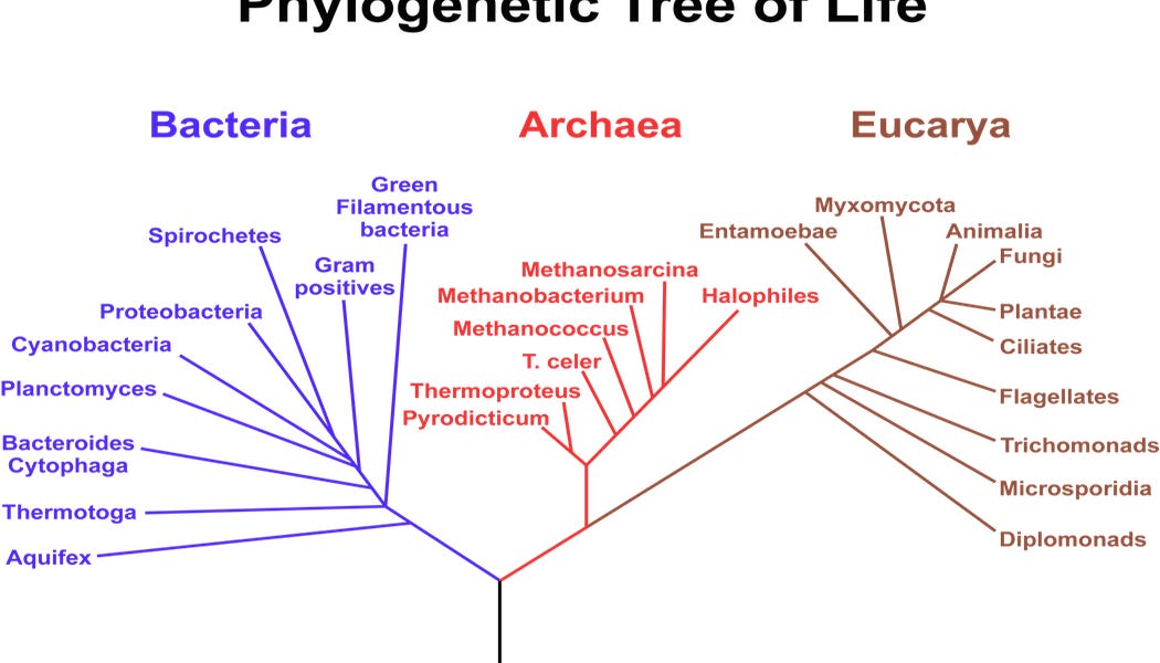 Content Modeling - by Jeremy Fishman - how much does ... ?