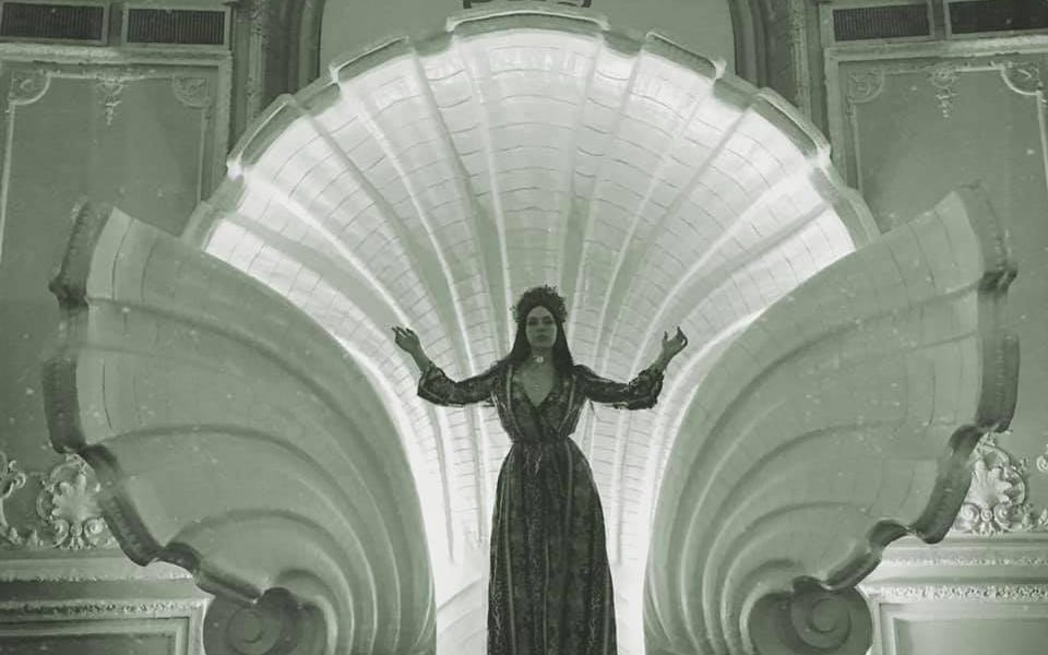 Welcome to the Cicada Hotel - by Katelan Foisy