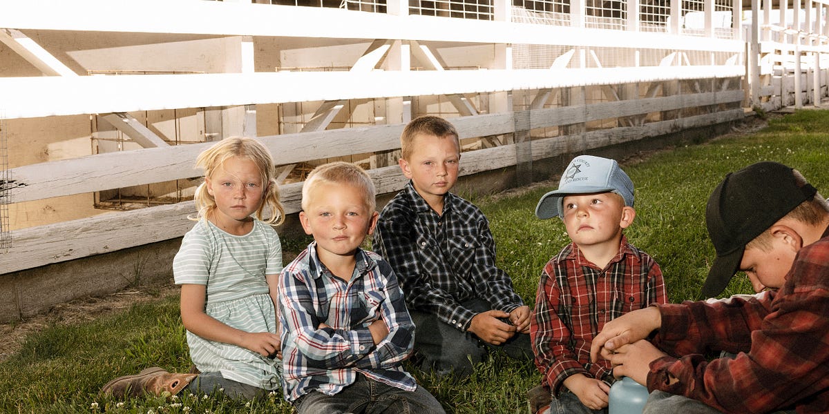 The New American Homesteaders - by Olivia Reingold