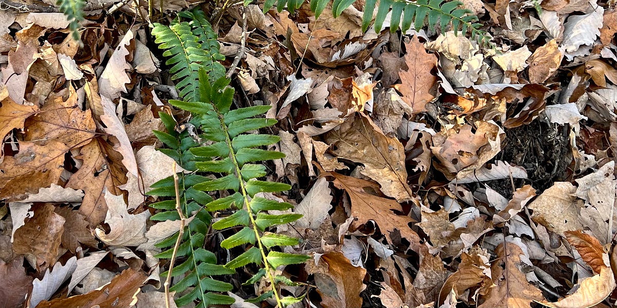 A please & a thank you