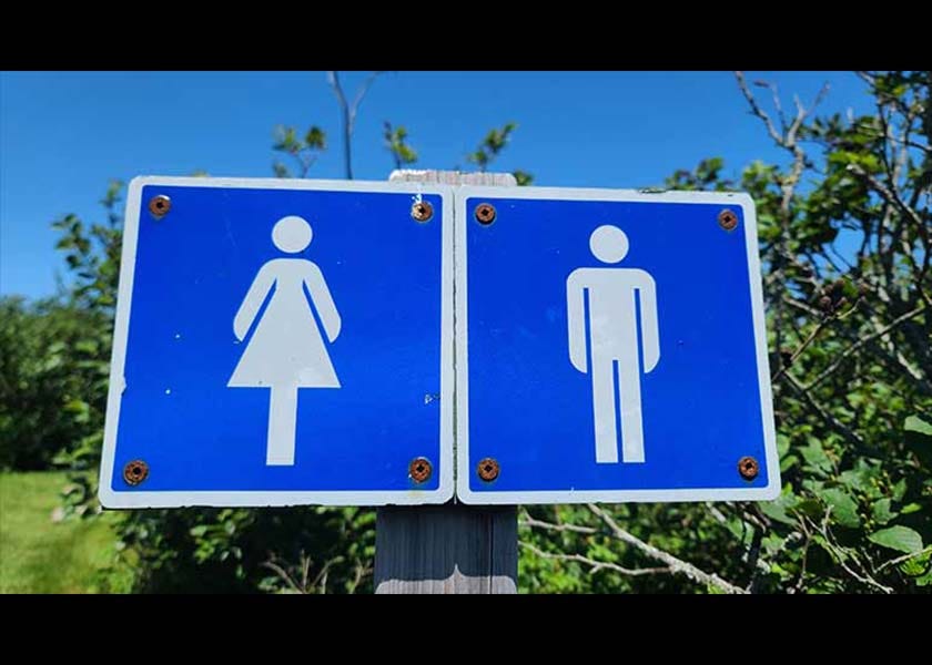 Gender Transition Surgery: Dreams Turned to Nightmares