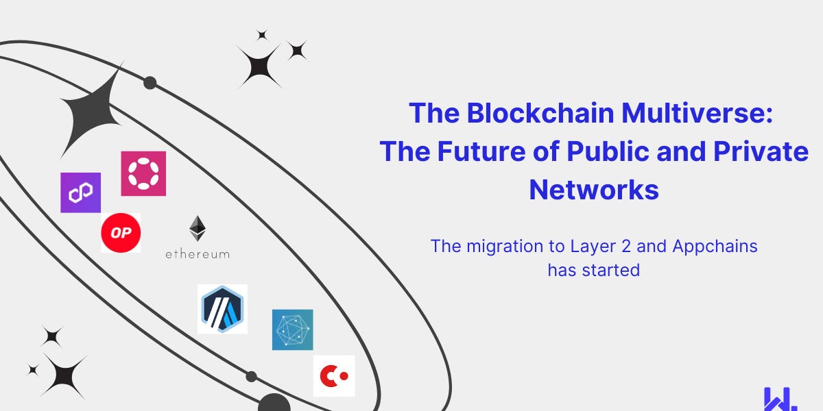 The Blockchain Multiverse: The Future of Public and Private Networks