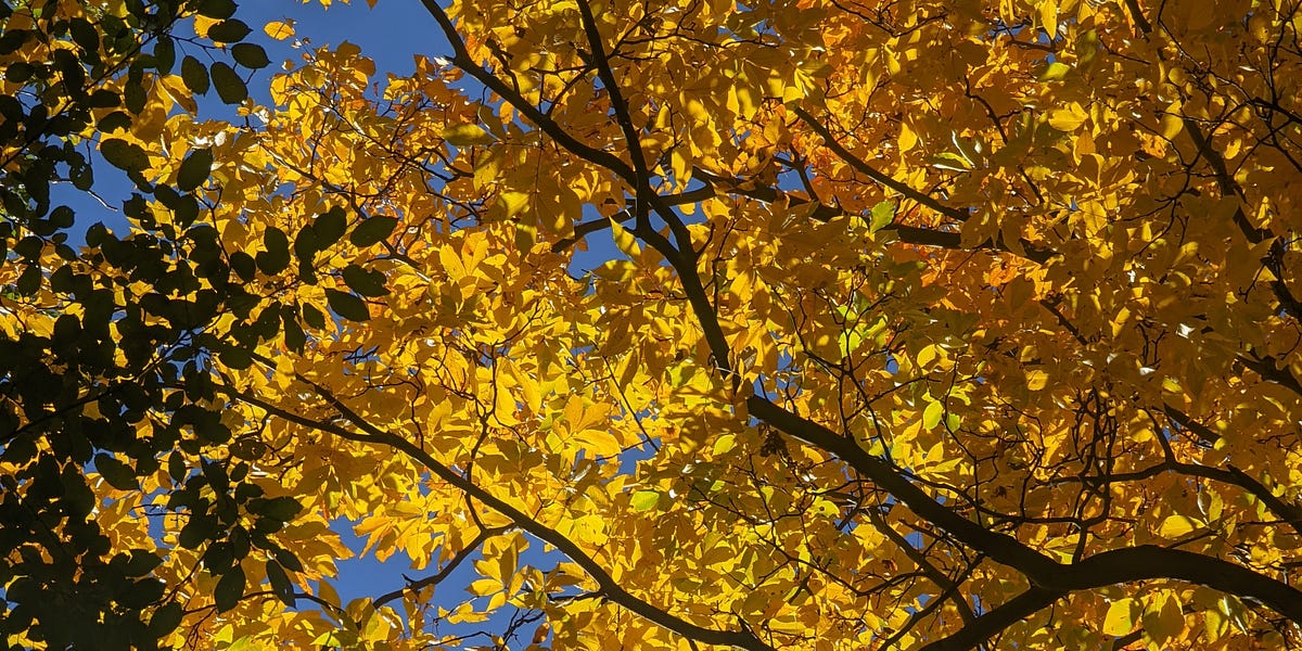 mid-month Friday check in - by Katie Marquette