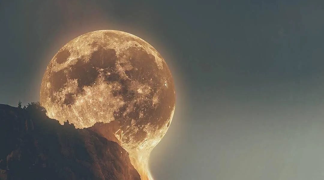 A Moonlit Night - by Vu Phan - Vu’s Substack