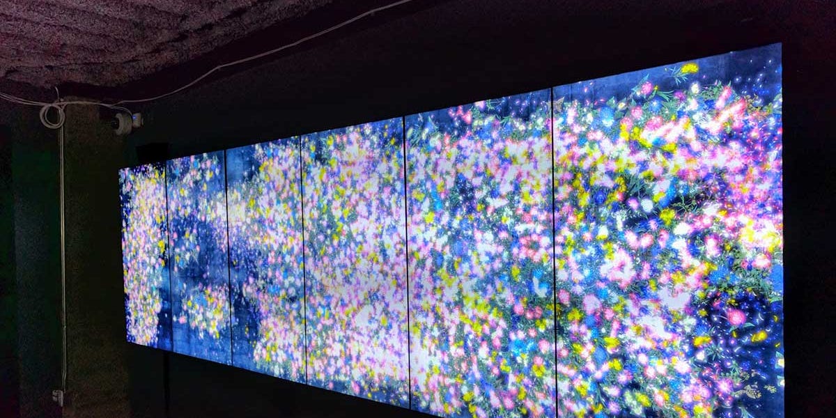 Living Computer Museum embraces the future and becomes Living Computers ...