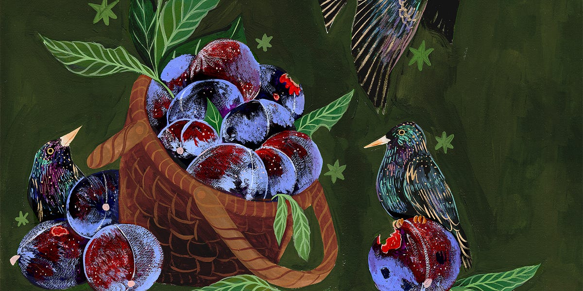 Harvesting creativity and other things that are overflowing