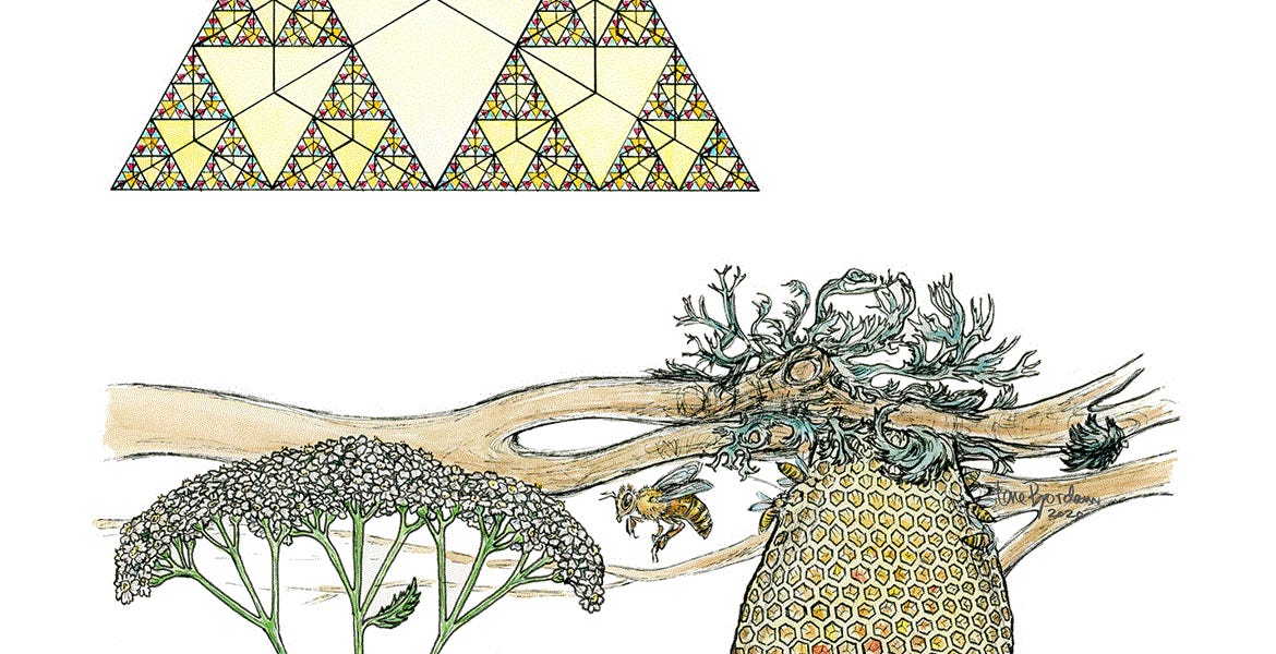 The Scale of Things - by Karen O'Brien