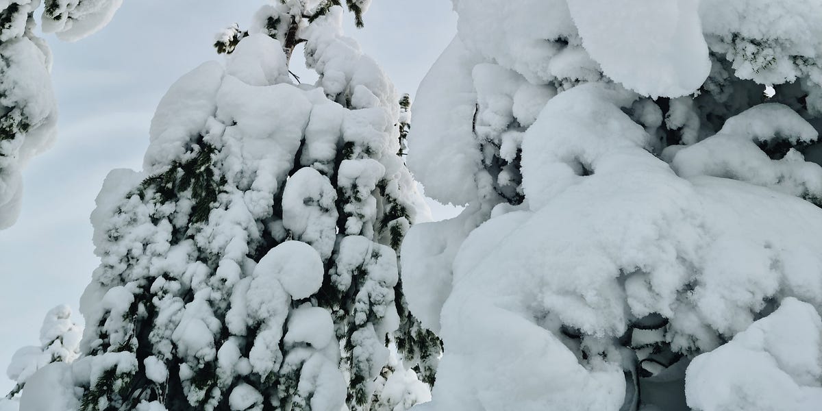 the sap is rising - Breccia by Ruth Allen