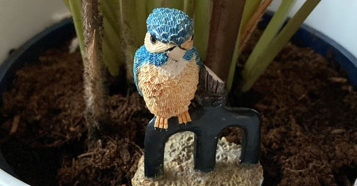 The Kingfisher - Part Two - by George Mahood