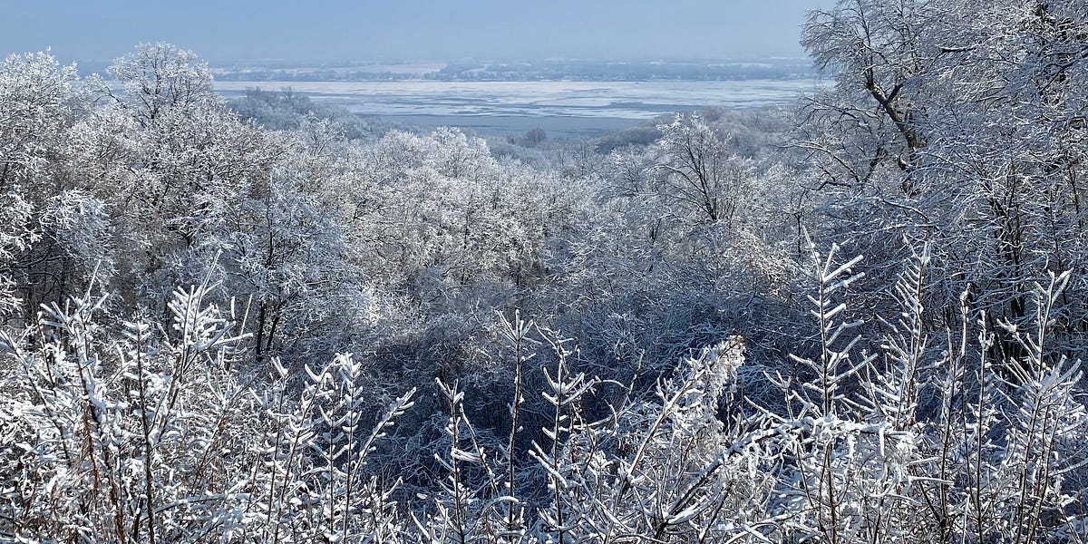 A Peoria Author and Skin Doctor are Duking it Out--December 10, 2024